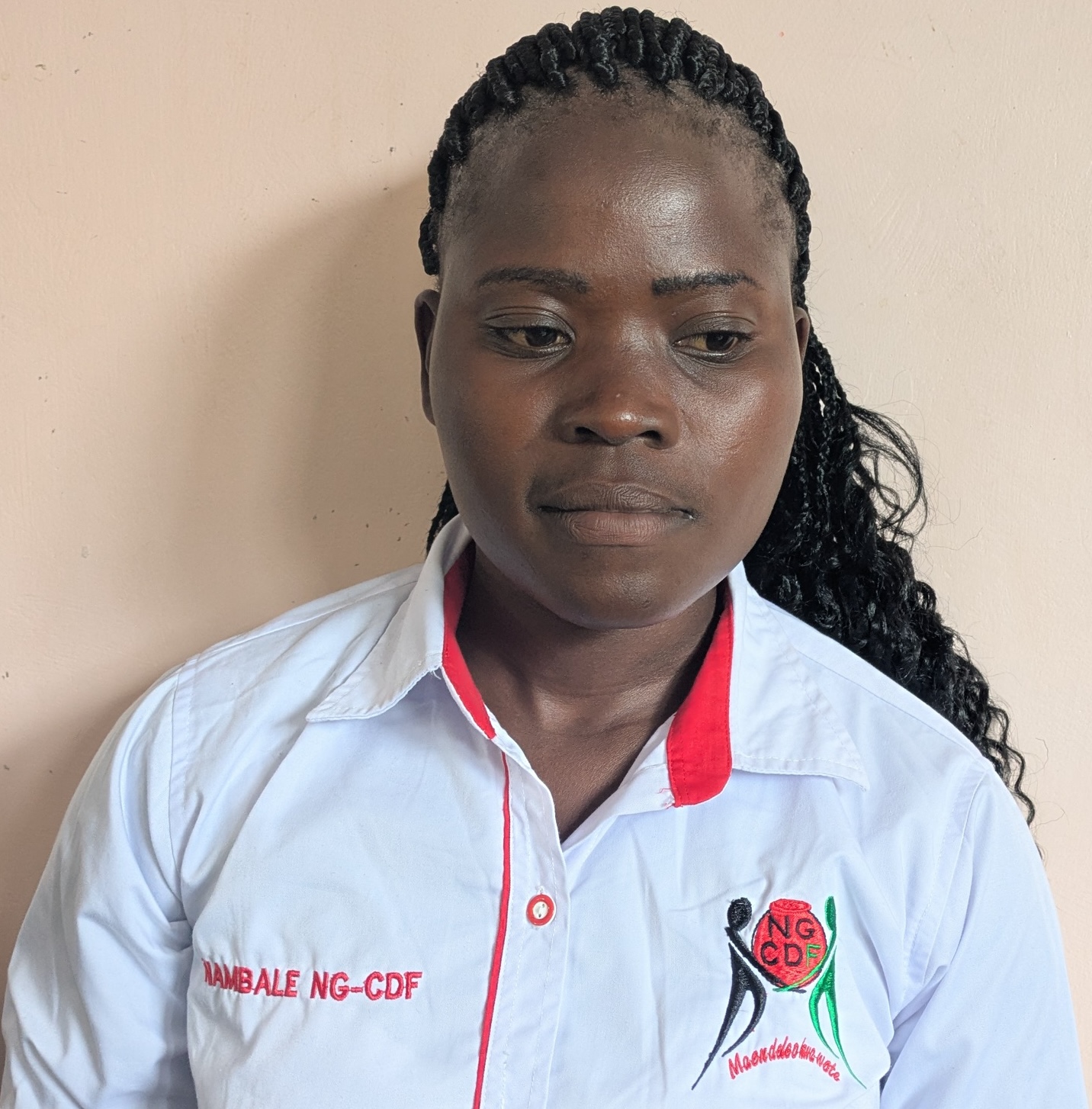 NGCDFC Members – NGCDF Nambale Constituency